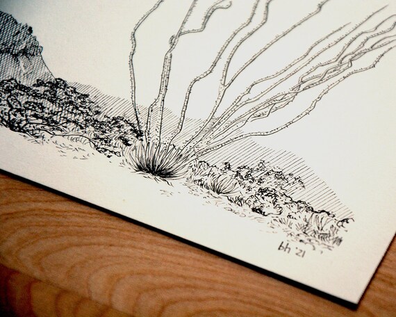 Desert Pen Drawings