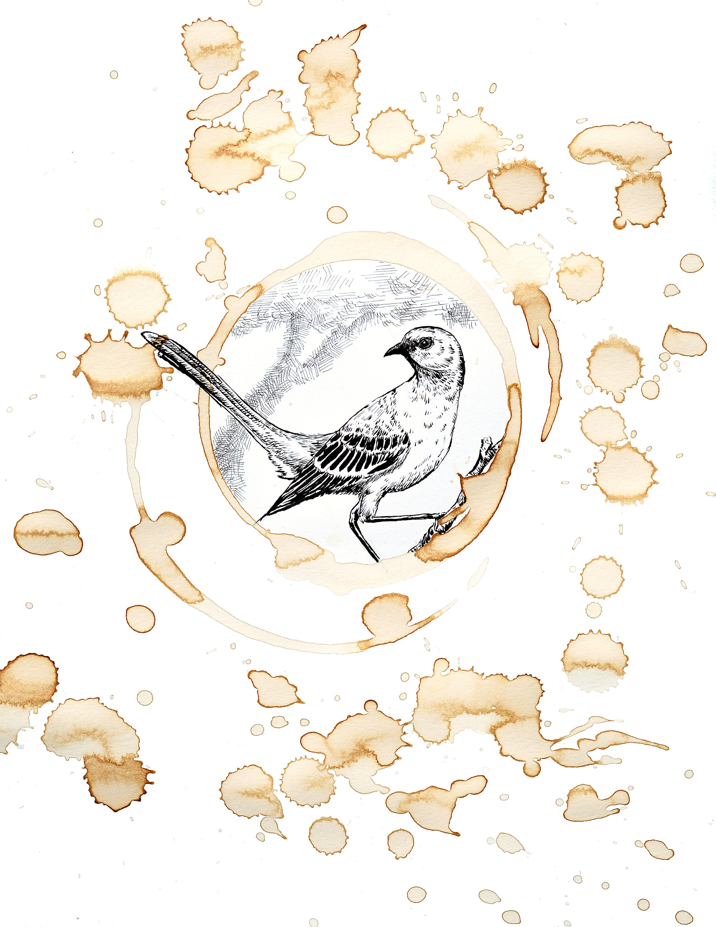 Coffee Splatter