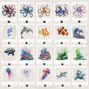 Ocean Sea Life Clipart Bundle, Watercolor Fish PNG, Under the Sea ...