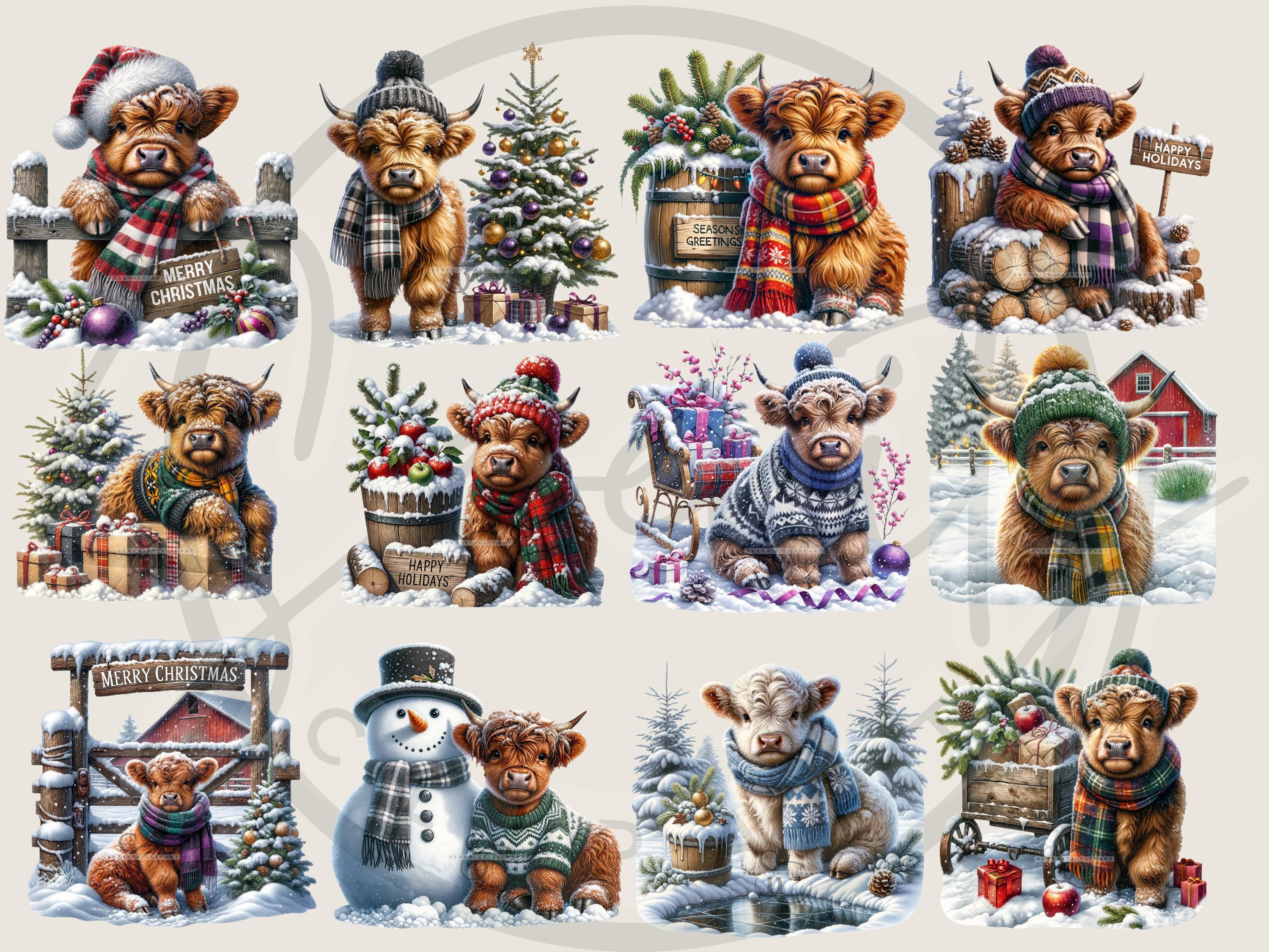 Christmas Highland Cow Clipart, Winter Snow Wonderland Cows PNG ...