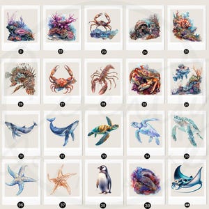 Ocean Sea Life Clipart Bundle, Watercolor Fish PNG, Under the Sea ...