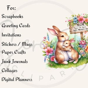 Watercolor Mothers Day Animal Clipart Bundle, Cute Mom Baby Family Clip ...