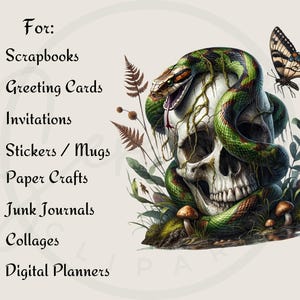 Swamp Skull Clipart Bundle, Creepy Gothic Bayou Skull PNG, Haunted ...