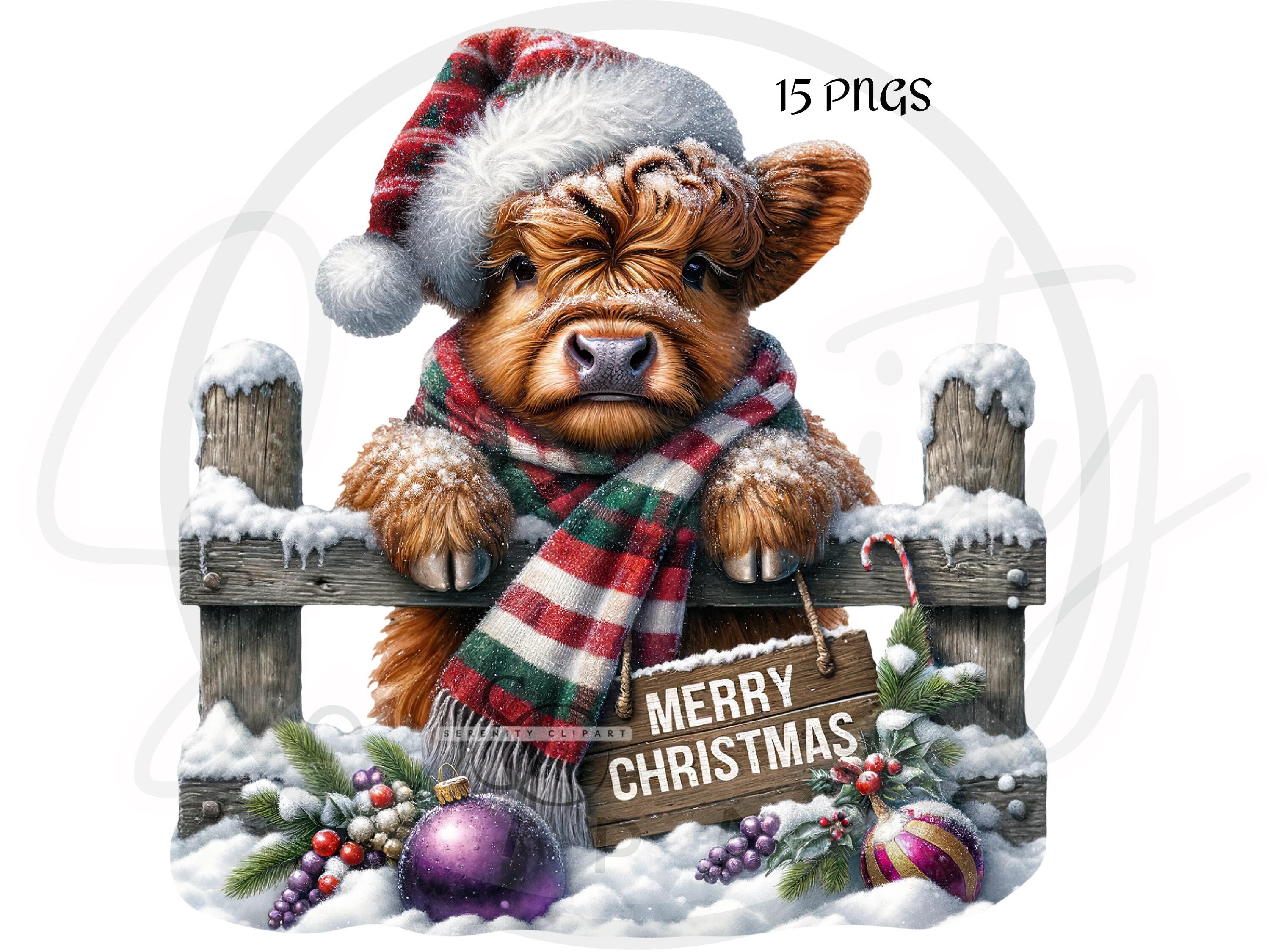 Christmas Highland Cow Clipart, Winter Snow Wonderland Cows PNG ...
