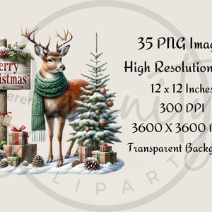Watercolor Christmas Animal Clipart: Woodland PNG Bundle Digital ...
