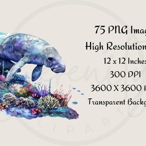 Ocean Sea Life Clipart Bundle, Watercolor Fish PNG, Under the Sea ...