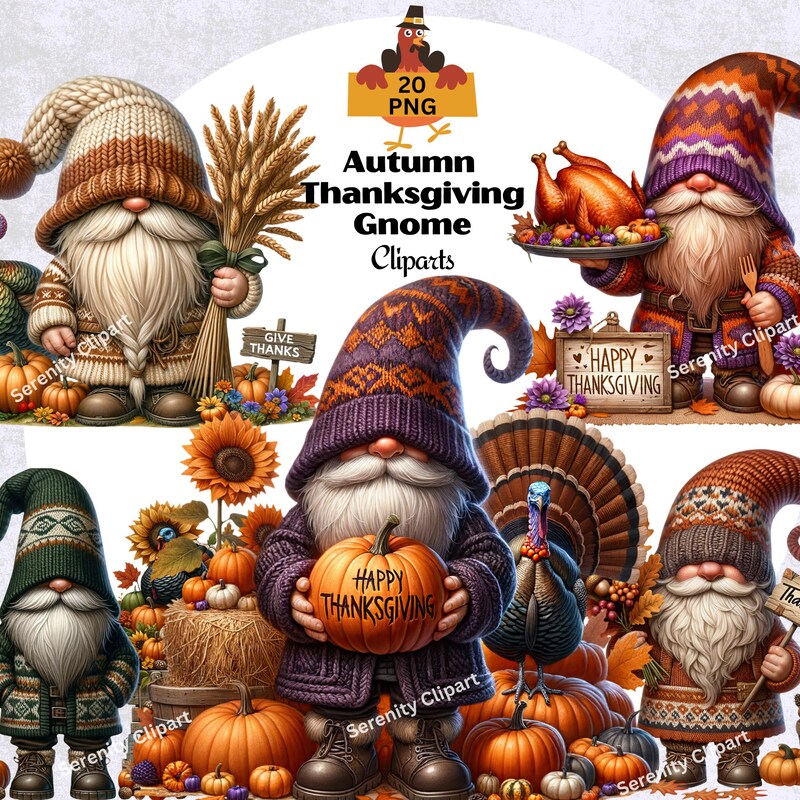 Thanksgiving Gnomes - Etsy