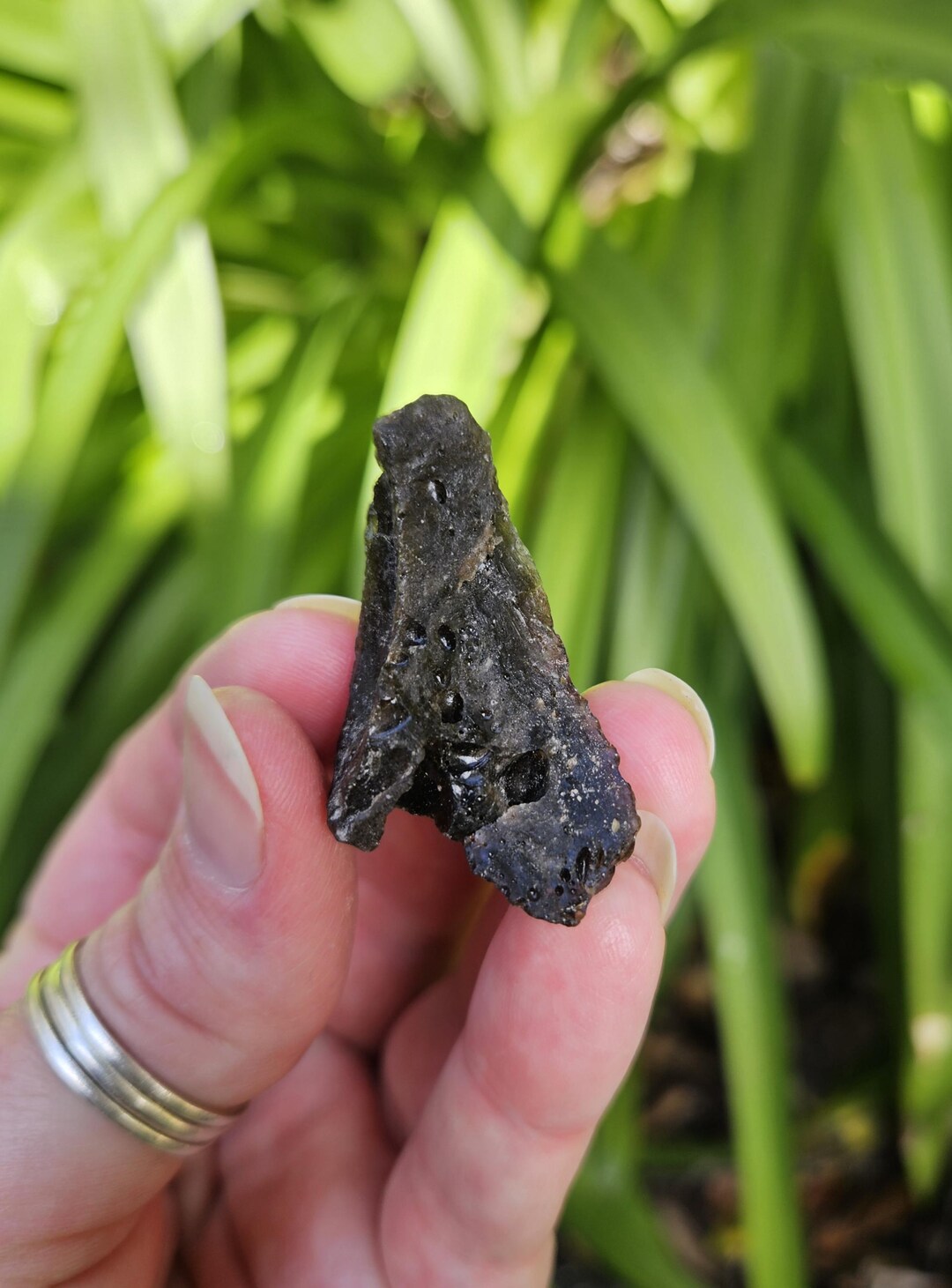 Darwinite / Darwin Glass / Tektite / Australian Tektite / 7 Grams - Etsy