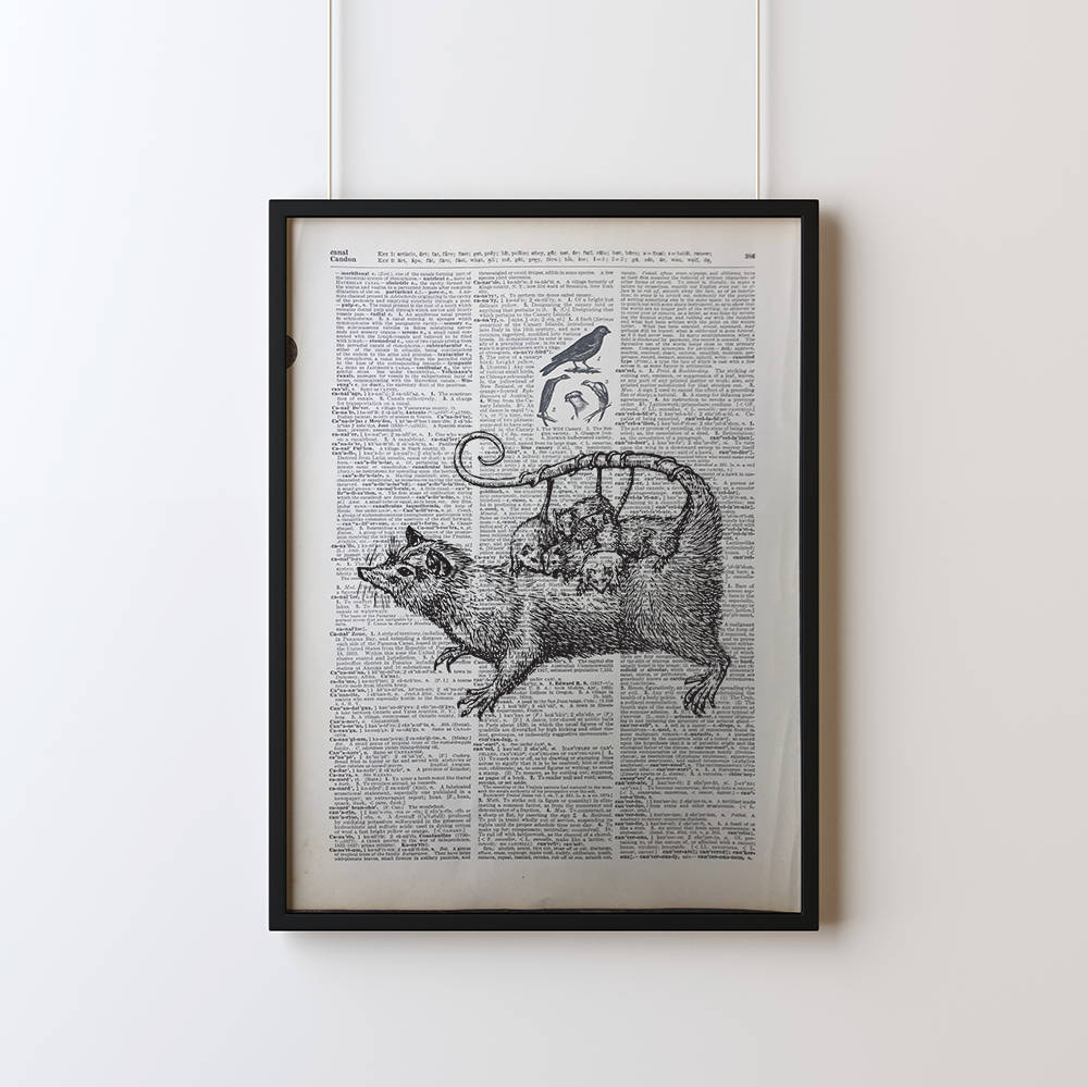 Possum Poster Screen Printed Dictionary Art Vintage - Etsy