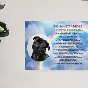 Rainbow Bridge Pet Sympathy Gift, Loss of Dog or Cat Sympathy, A Best ...