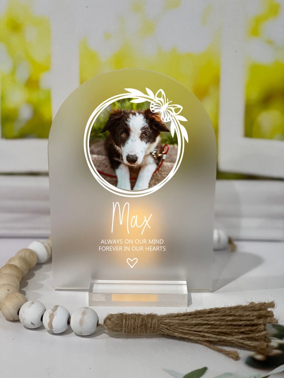 Memorial Sign for Loss of Dog Memorial Sign for Loss of Cat - Etsy