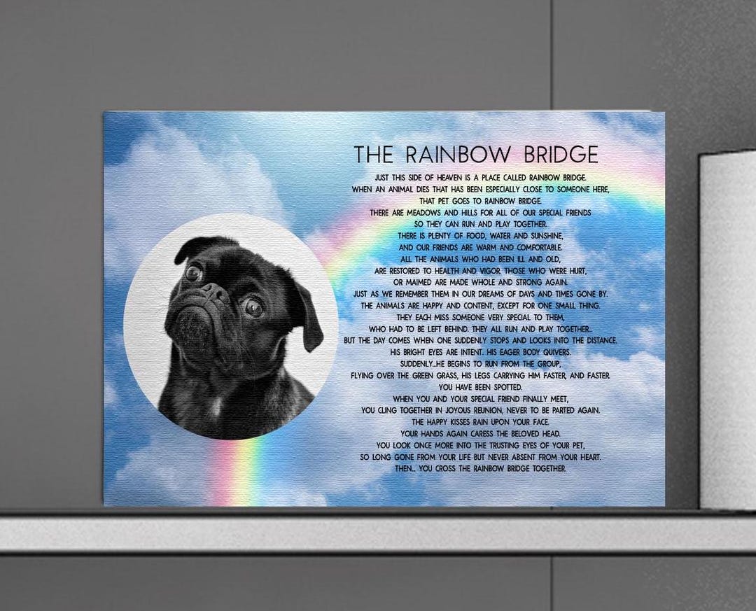 Rainbow Bridge Pet Sympathy Gift, Loss of Dog or Cat Sympathy, A Best ...