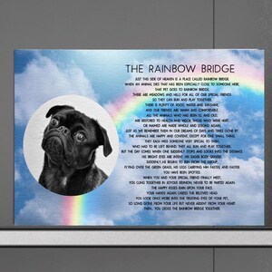 Rainbow Bridge Pet Sympathy Gift, Loss of Dog or Cat Sympathy, A Best ...
