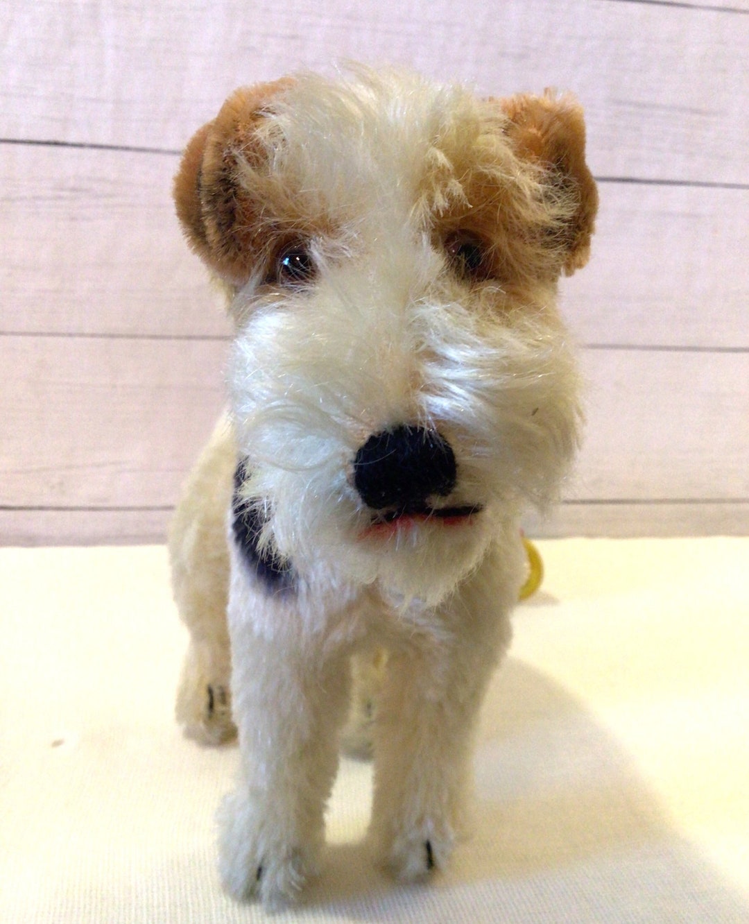 Vintage Steiff Fox Terrier, foxy, 50's - Etsy