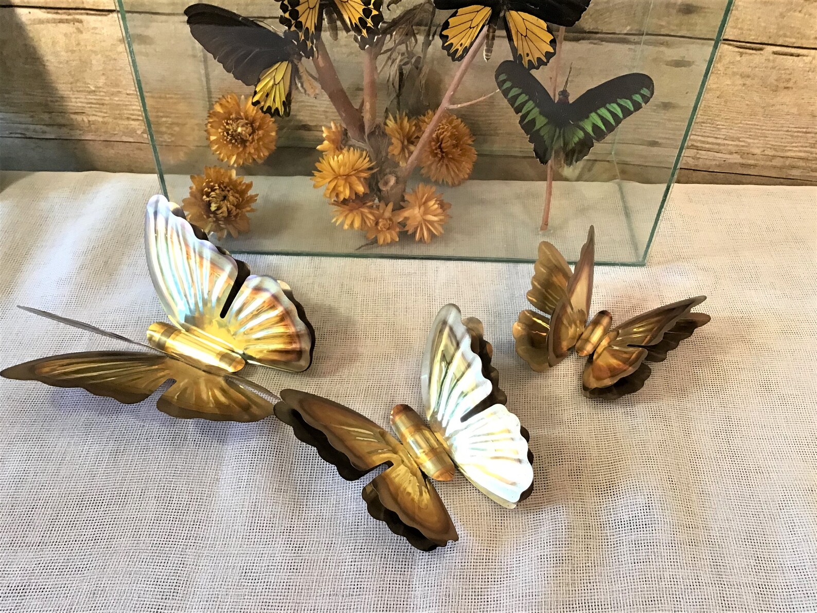 Set 3 Brass Wall Mount Double Wing Butterflies HOMCO | Etsy