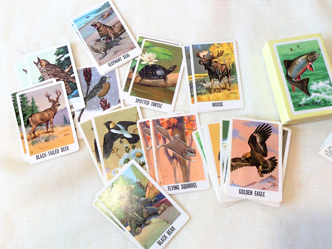 Vintage Wildlife Cards, Concentration Card Game - Etsy