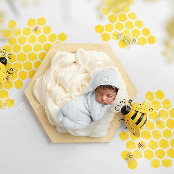 Honeycomb Photo Backdrop - Etsy