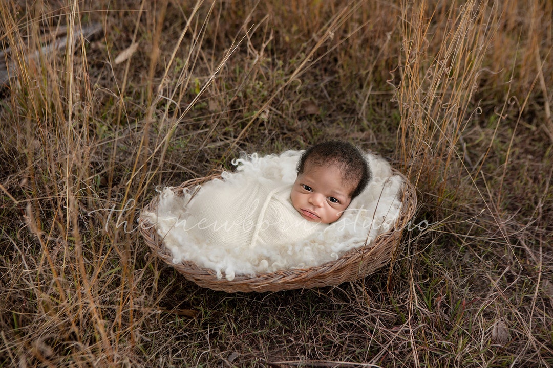 Newborn Digital Backdrop Outdoor Nest in Paddock - Baby Photography ...