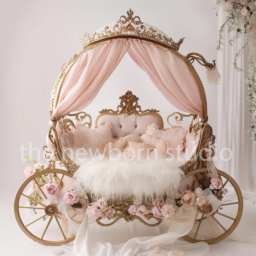 Pink and White Princess Carriage Floral Gold Newborn Digital Background ...