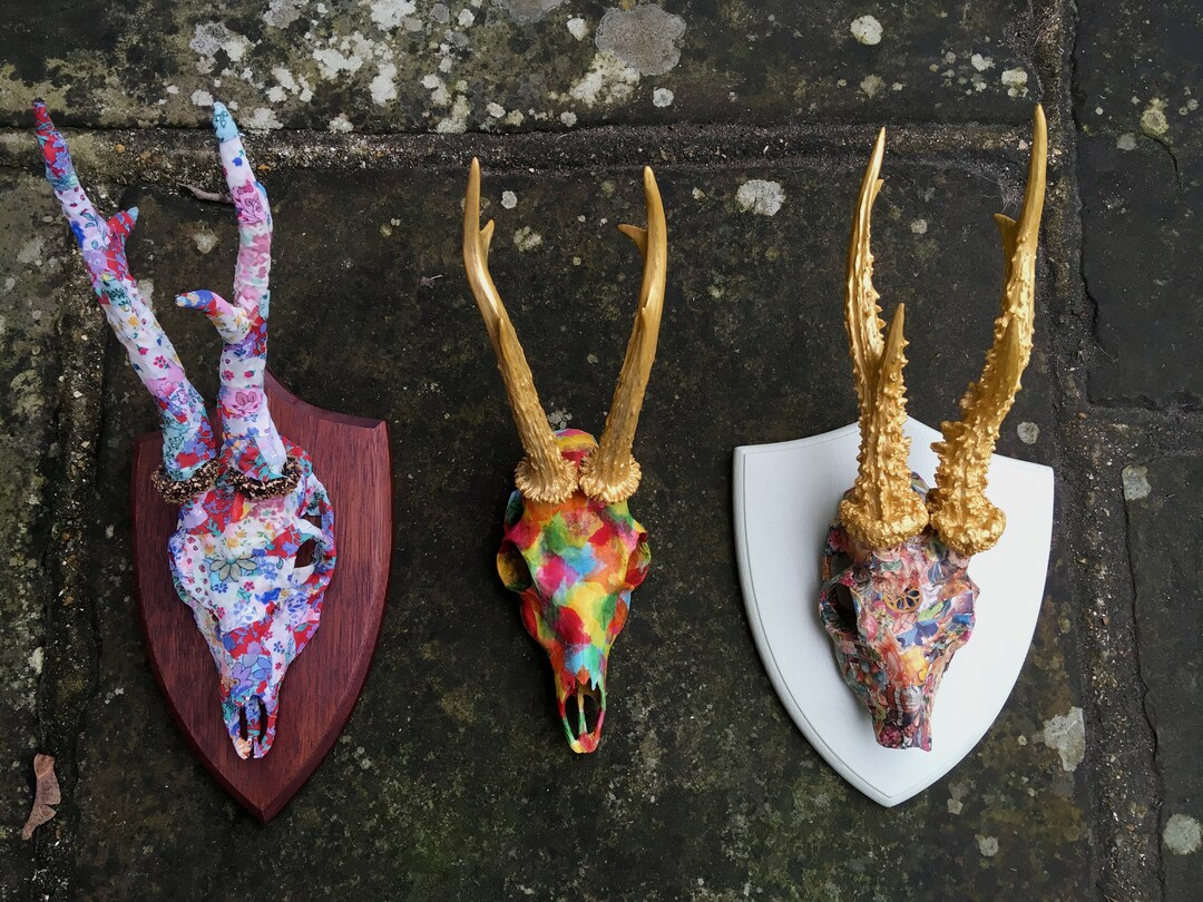 Unique Handcrafted Colourful Real Deer Head With Gold Leaf - Etsy UK