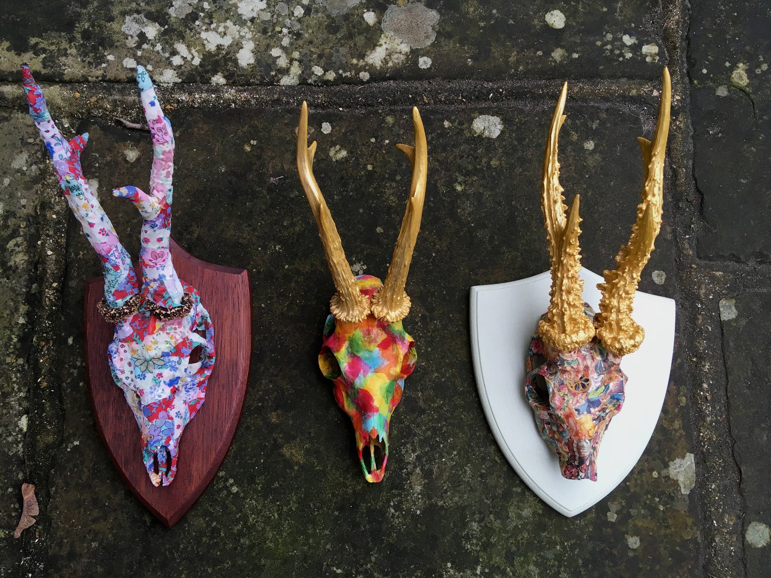 Unique Handcrafted Colourful Real Deer Head With Gold Leaf - Etsy UK