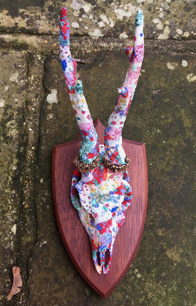 Unique Handcrafted Colourful Real Deer Head With Gold Leaf - Etsy UK