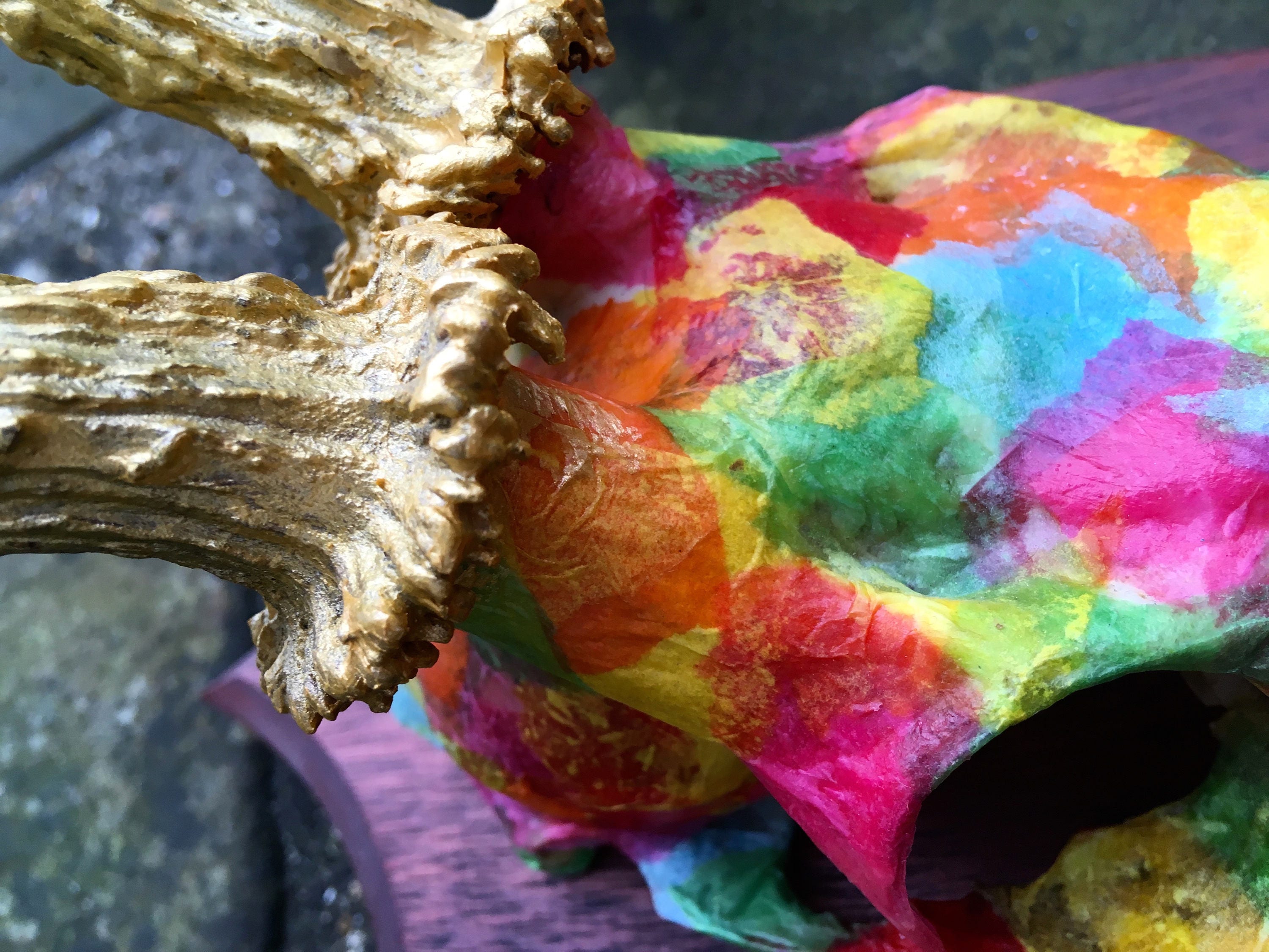 Unique Handcrafted Colourful Real Deer Head With Gold Leaf - Etsy UK