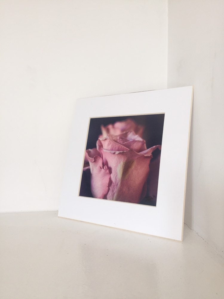 Pink Rose Print - Etsy