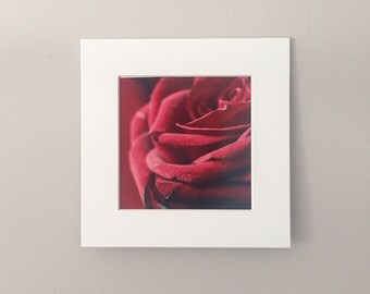 Single Stem Red Rose Photo, Rose Fine Art Print, Romantic Art Bedroom ...