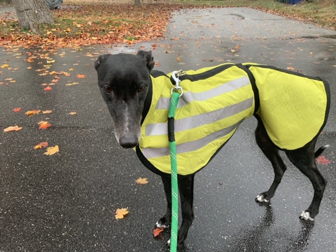 High Visibility Winter Fall Greyhound Coat - Etsy