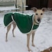 Greyhound Coats, Greyhound Track Coats. Nylon Dog Coats, Fleece Lined ...