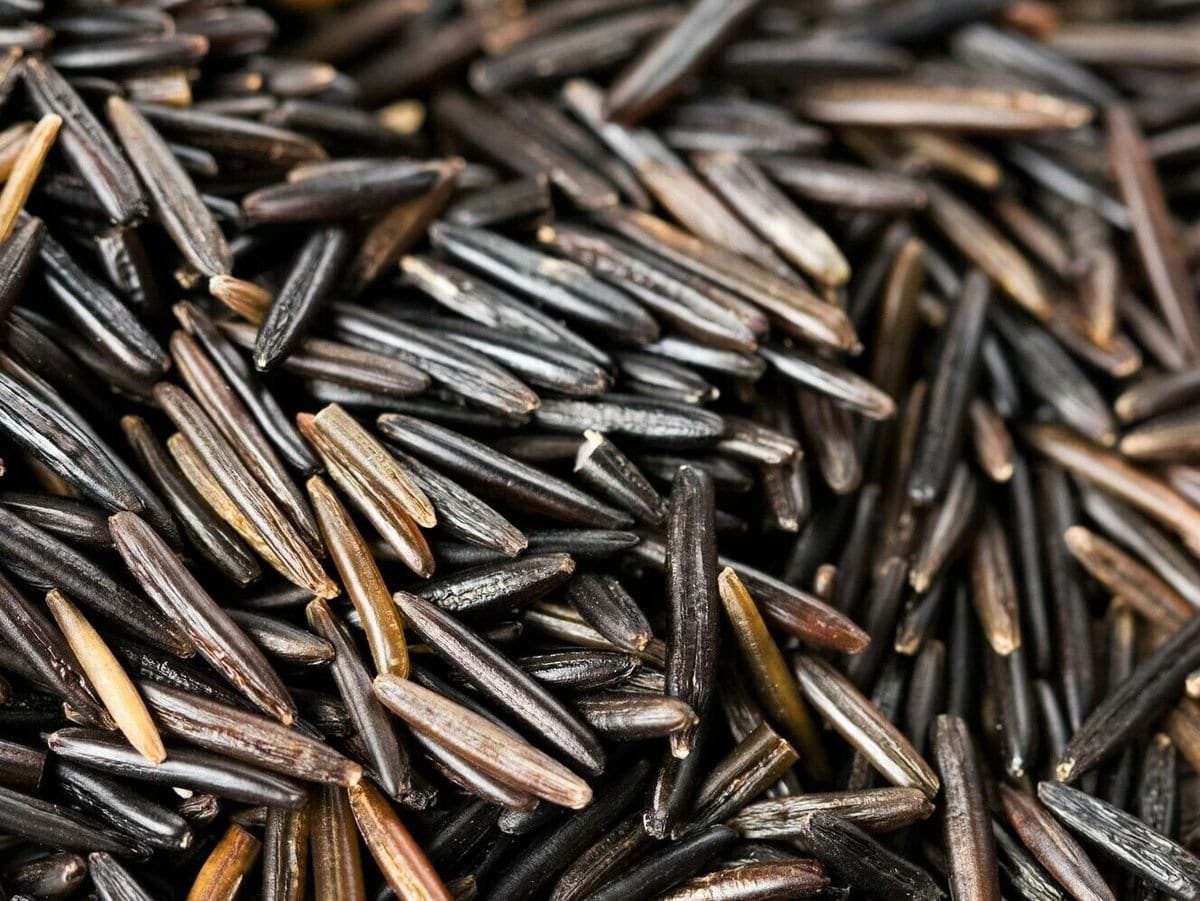 American Grown All-natural Wild Rice Premium Long Rice - Etsy