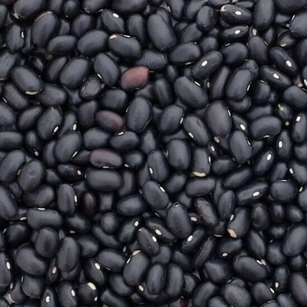 Black Turtle Beans - Etsy