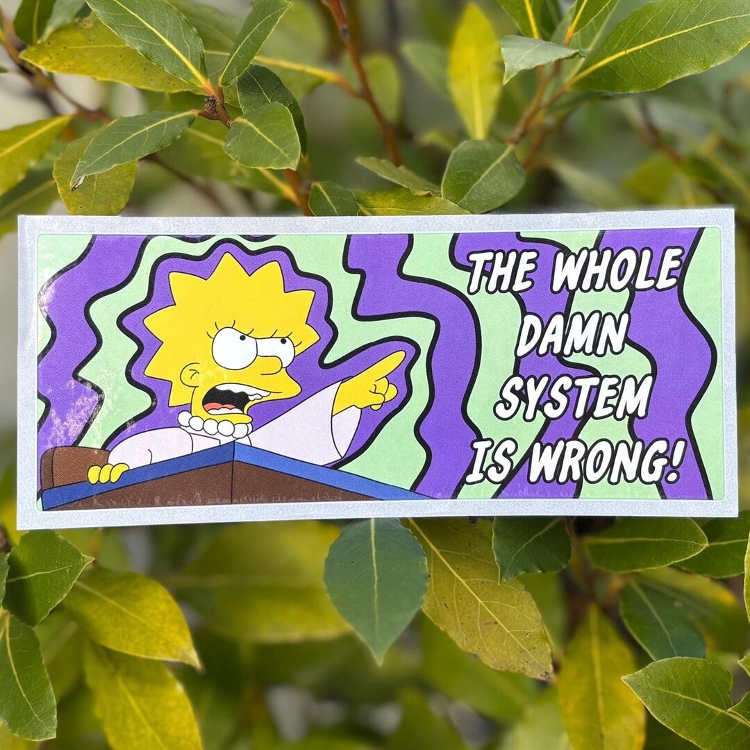 The Whole Damn System is Wrong Bumpersticker Waterproof, Scuff ...