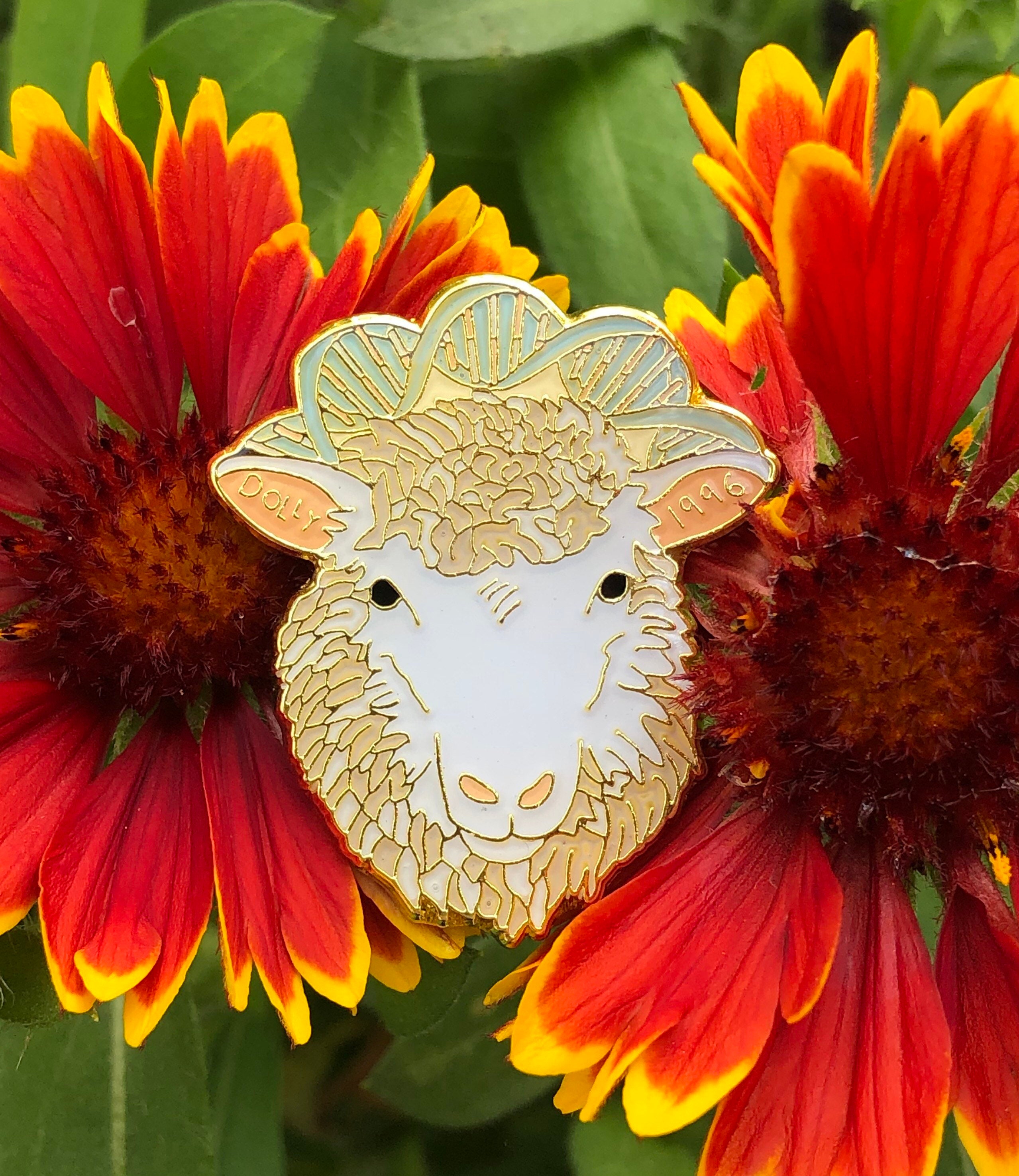 Dolly the Sheep Enamel Lapel Pin Badge - Etsy