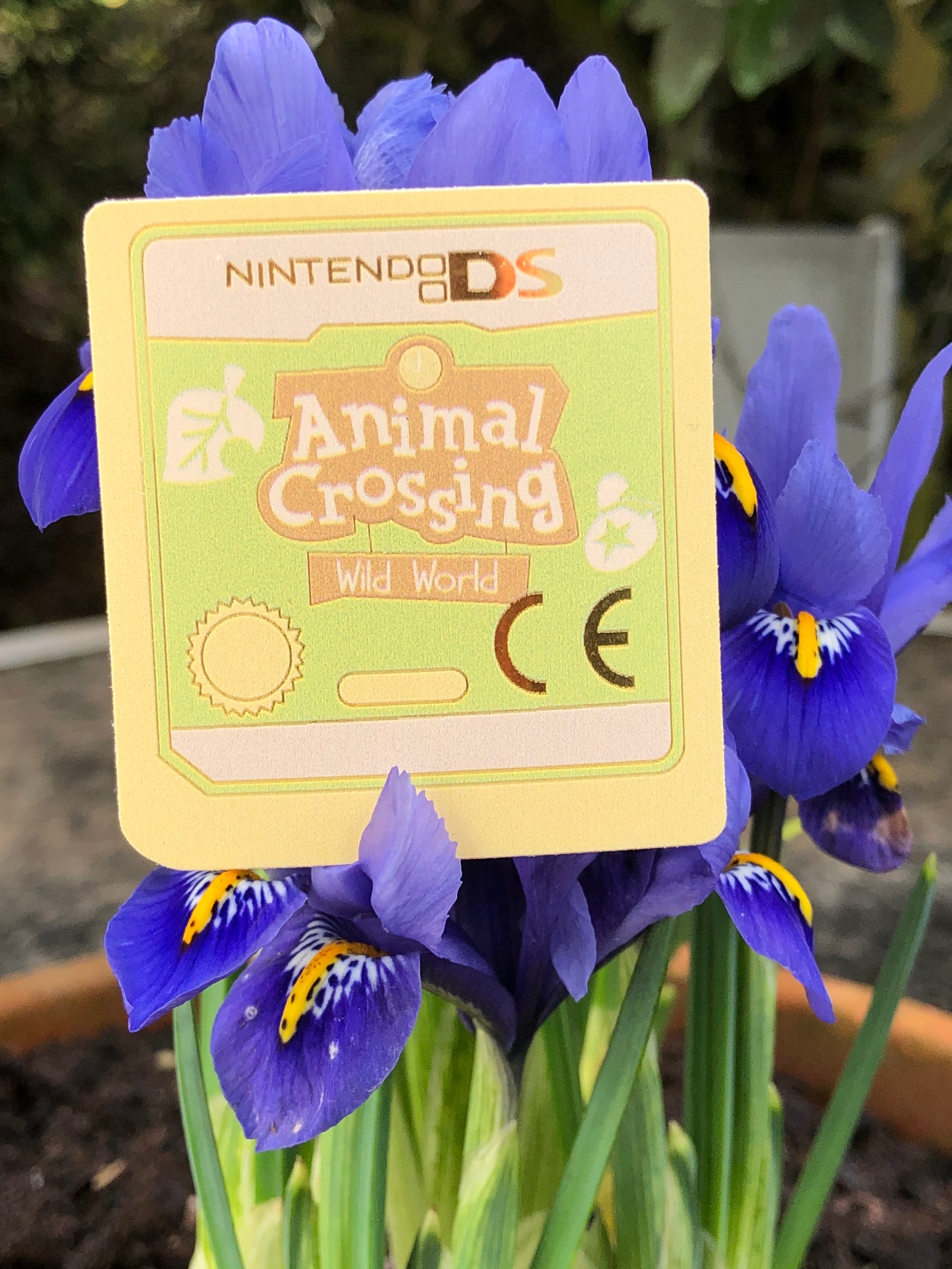 Nintendo DS Cartridge Animal Crossing Nintendogs Cute Nostalgia ...