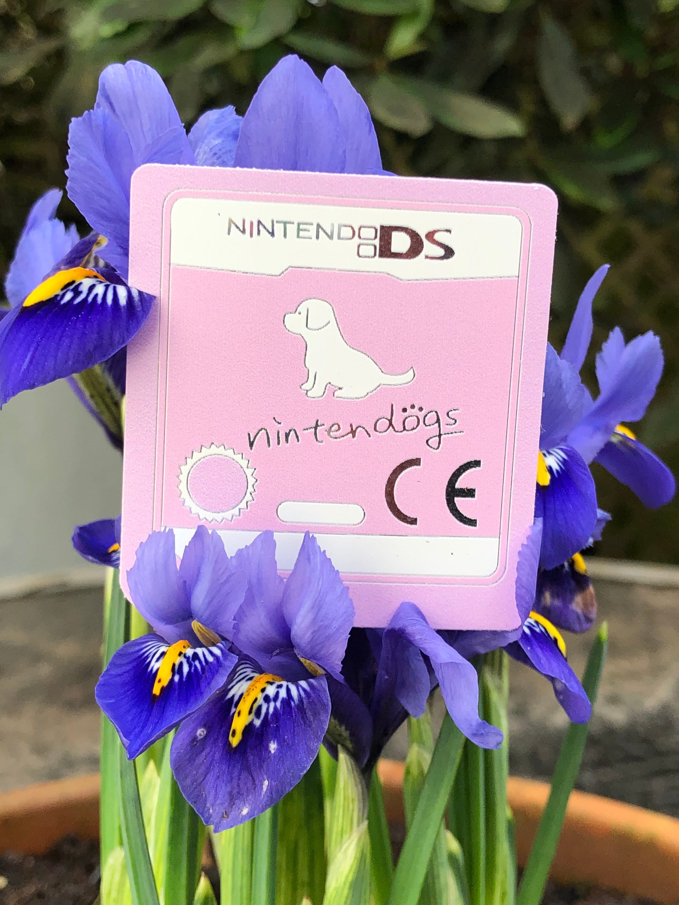 Nintendo DS Cartridge Animal Crossing Nintendogs Cute Nostalgia ...