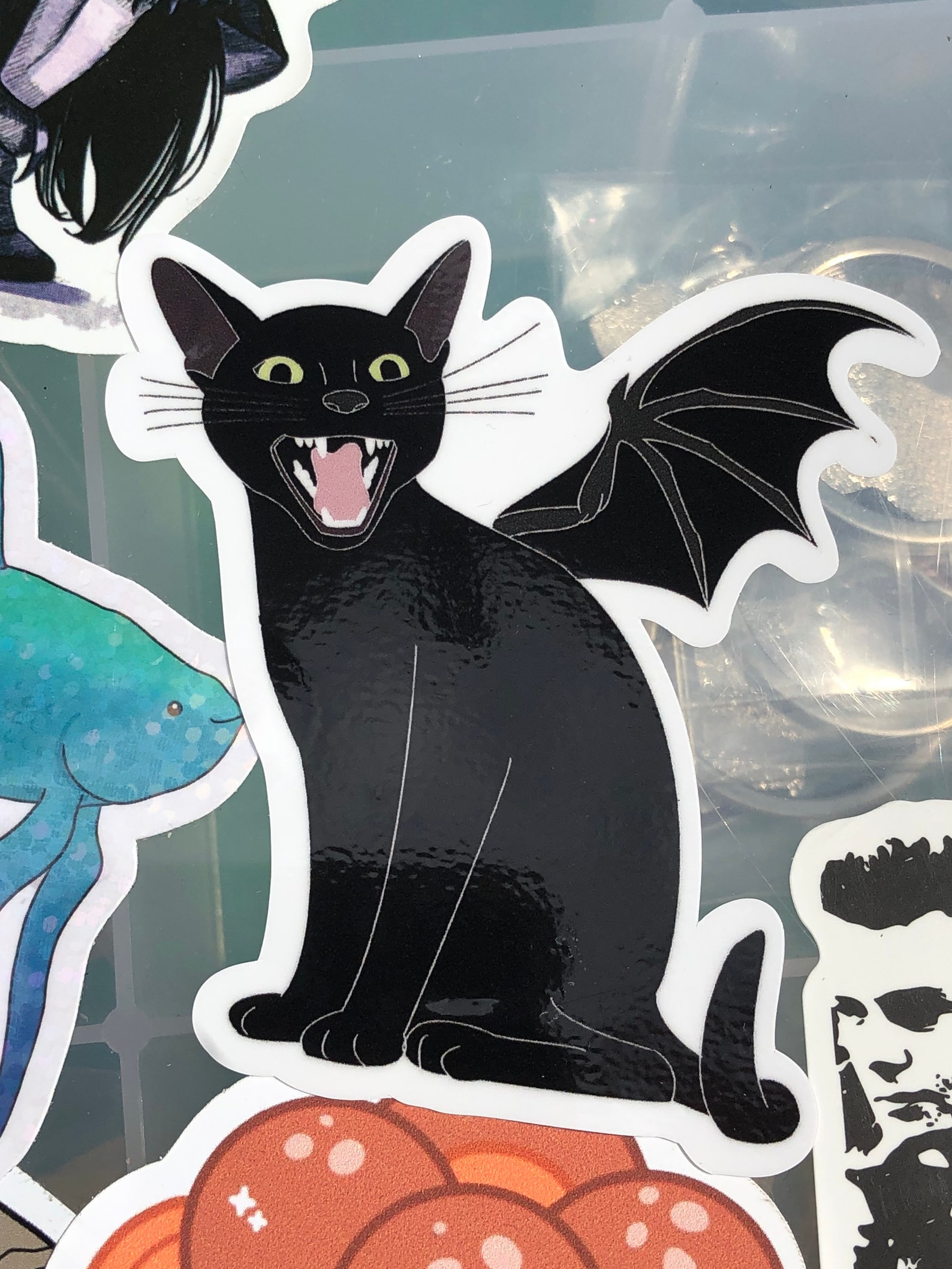 Black Cat Screaming Sticker Vinyl Gloss - Etsy UK