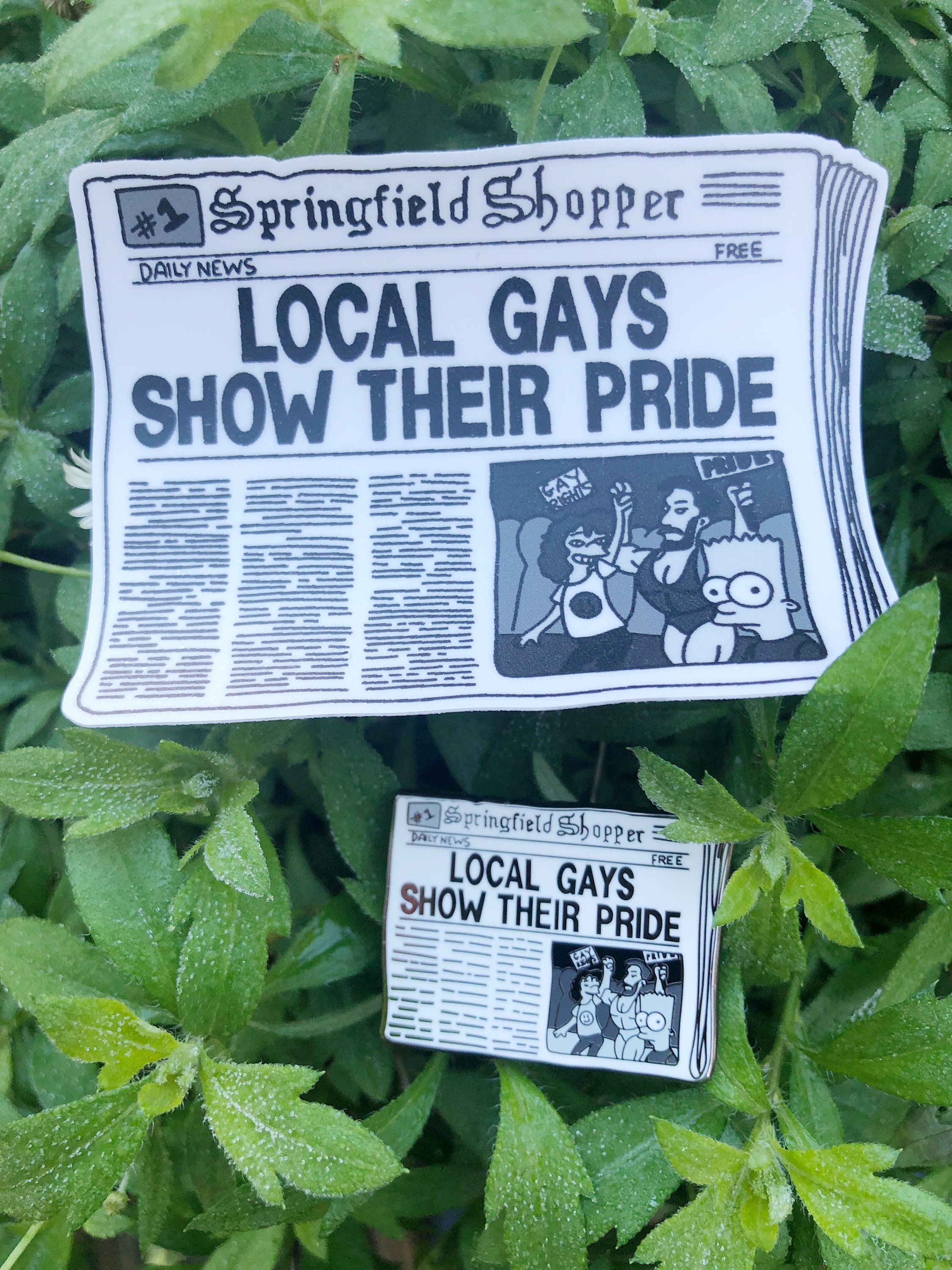 Local Gays Show Their Pride Springfield Shopper Hard Enamel - Etsy