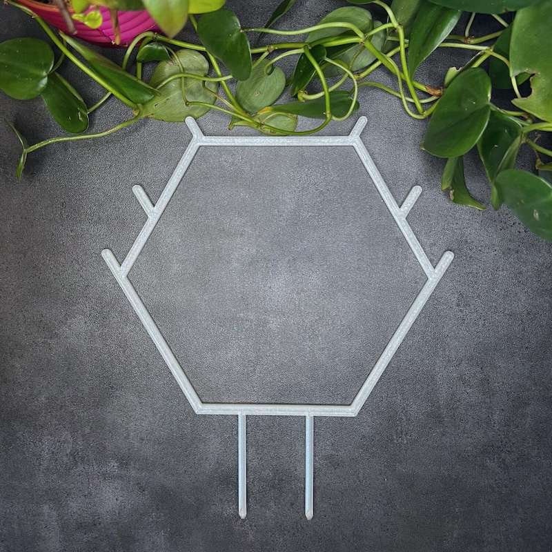 Hexagon Trellis - Etsy