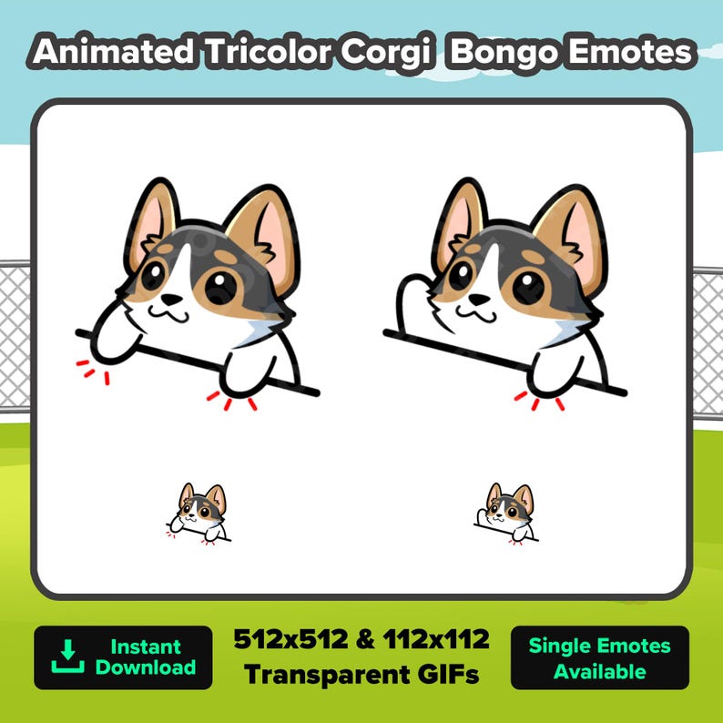 Animated Bongo Tricolor Corgi Emotes for Twitch or Discord - Etsy Australia