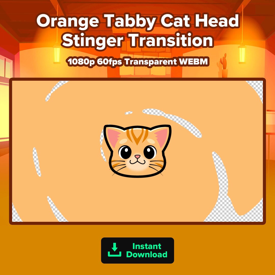 Orange Tabby Cat Stinger Transition | Animated Twitch Scene Transition ...