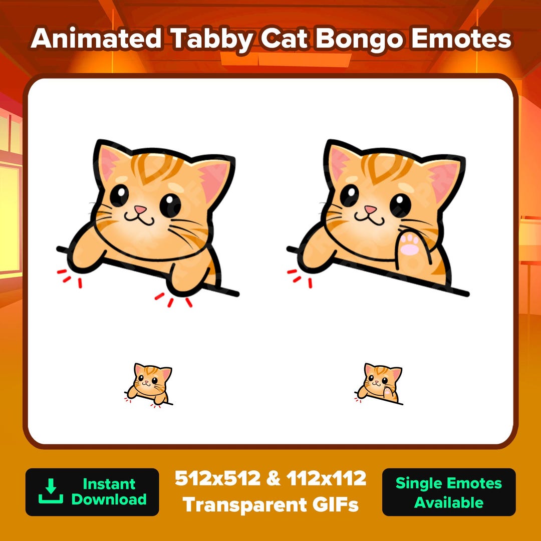 Animated Bongo Orange Tabby Cat Emotes for Twitch Emotes for Streaming ...