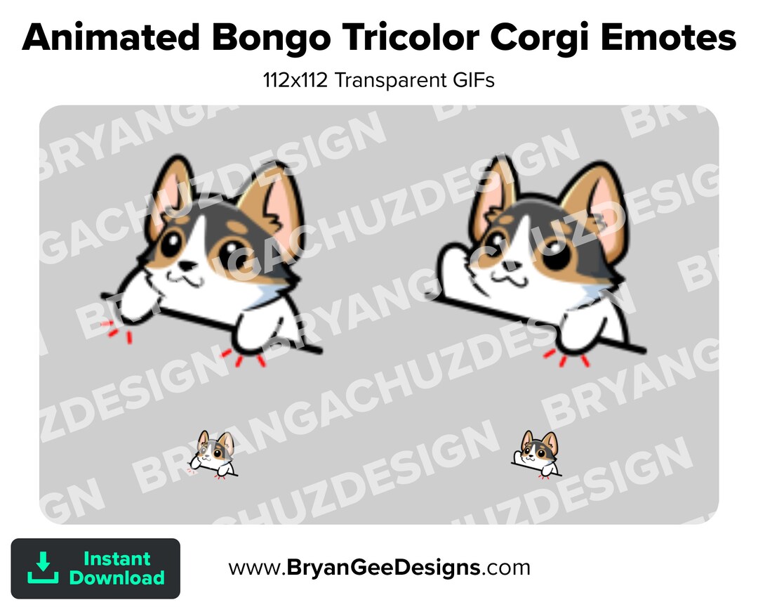 Animated Bongo Tricolor Corgi Emotes for Twitch or Discord - Etsy