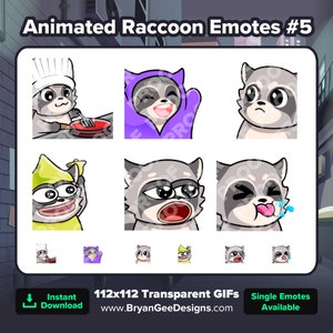 Animated Raccoon Twitch Emotes Let Them Cook, Blankie, Salute, Dinkdonk ...