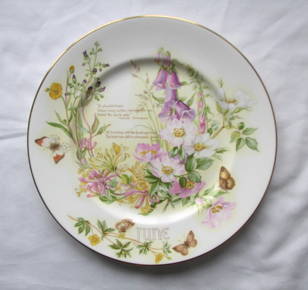 Caverswall China Country Diary of an Edwardian Lady Plate JUNE - Etsy