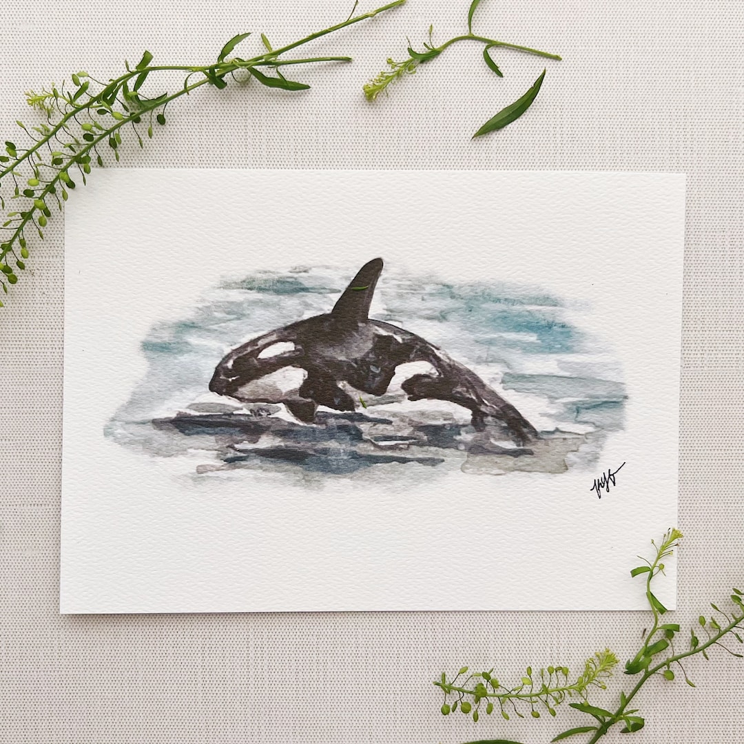 Orca Watercolor Print - Killer Whale Ocean Sea Fish Marine Animal ...