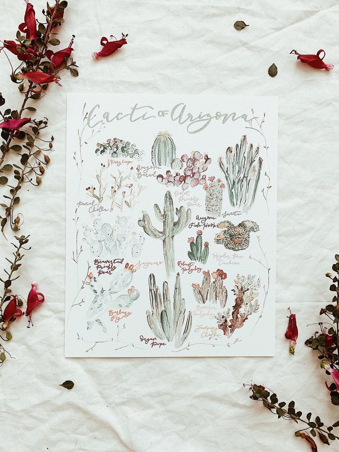Cacti of Arizona Print - Watercolor Vintage Botanical Poster Cactus ...