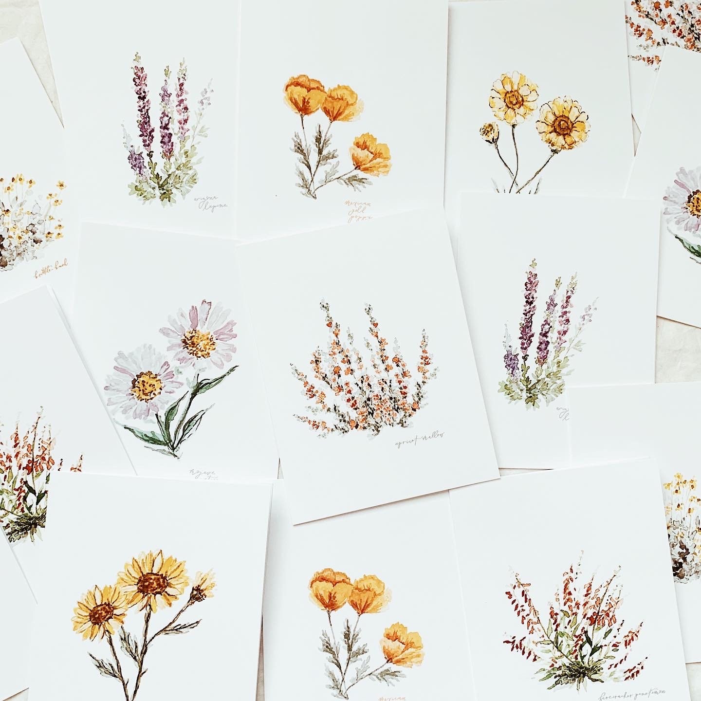 Wildflower Blank Folded Note Card Set W/ Envelopes Desert - Etsy
