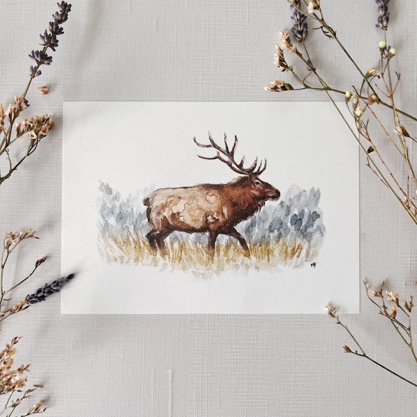 Watercolor Elk Wall Art - Etsy